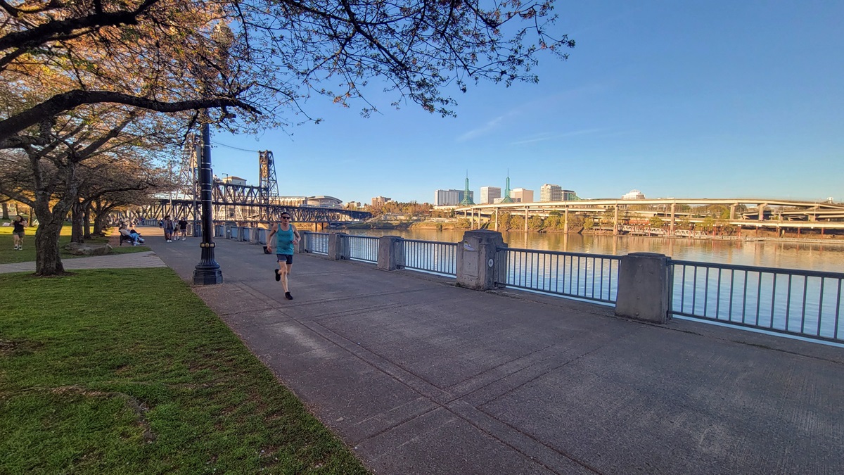 Poetry Drop July 2024 – The Casual Ramble